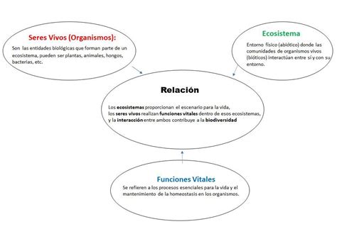 Mapa Mental Sobre La Relación De Ecosistemas Seres Vivos Y Funciones