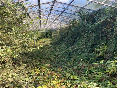 Growing Well Egremont Growing Well