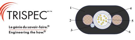 Spring Builds Outside Plant Trispec