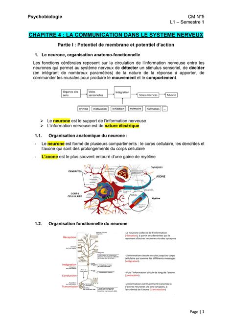 CM5 Psychobio Licence 1 Psychologie Warning TT Undefined Function