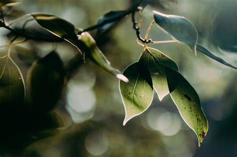 구미시 폐기물 스티커 구입처와 인터넷 발급 방법 및 무상 방문 수거 이용 안내 정보를드려요