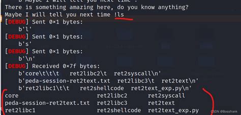 pwn入门（2）：rop攻击的原理，缓冲区溢出漏洞利用（ret2text ret2shellcode） csdn博客