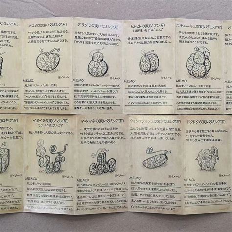 Devil Fruit Encyclopedia Collection Album Bearlovesonepiece