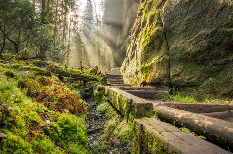 Wandern Bergsteigen Ausflugsziele Ferienquartier Forsthaus