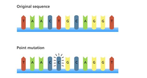 Mutation ဆသညမ အဘယနည λόγος