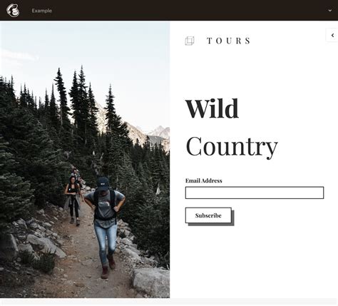 7 Best MailChimp Landing Page Examples