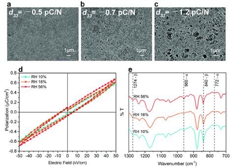 Surface Morphology Characterized By Scanning Electron Microscopy Sem