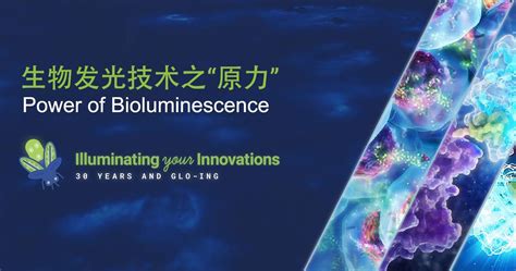 首页promega微网站 普洛麦格（北京）生物技术有限公司