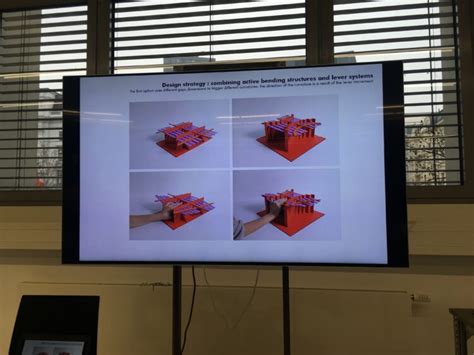 Bending Active Structures Gheorghe