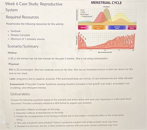 Solved Case Study Reproductive System There Are 5 Questions Under The Course Hero