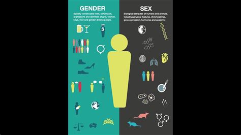 Sex And Gender Based Analysis Sgba Youtube