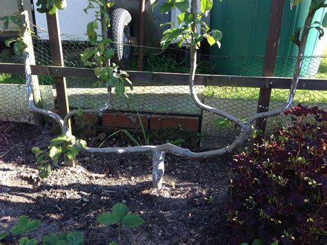 Binary Tree Irl Scrolller