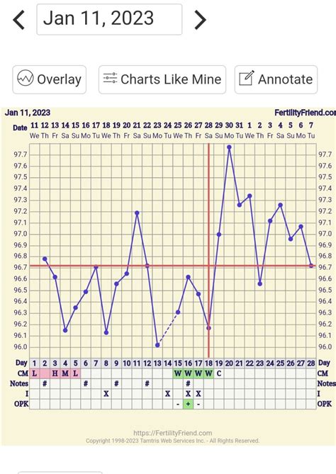 10dpo Temp Drop And Bfn 😭 Started Spotting This Morning And Af Never