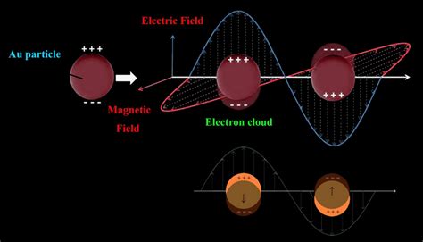 Schematic Of Lspr Effect Of Au Nanoparticles Download Scientific Diagram
