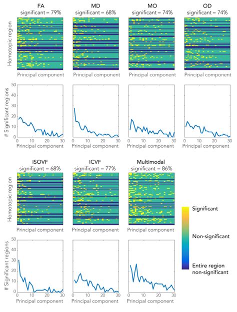 Significant Associations Between Functional Connectivity And