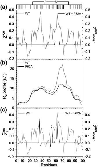 Prediction Of The Aggregation Properties Of β2m And An Example Variant Download Scientific
