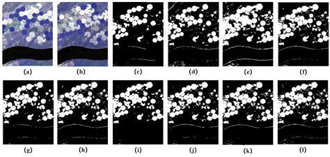 Remote Sensing Free Full Text Msfnet Multi Scale Fusion Network Based On Dynamic Spectral