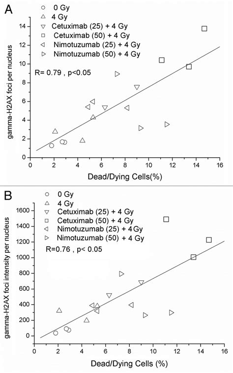 Correlation Between Dead Dying Cells And DNA Damage Measured By C H2AX