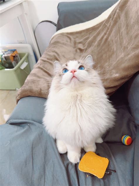 [破事氵]就是说打本的时候碰到这种情况大家会怎么办 178