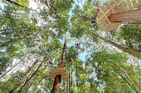 TreeTop Adventure Park Daily