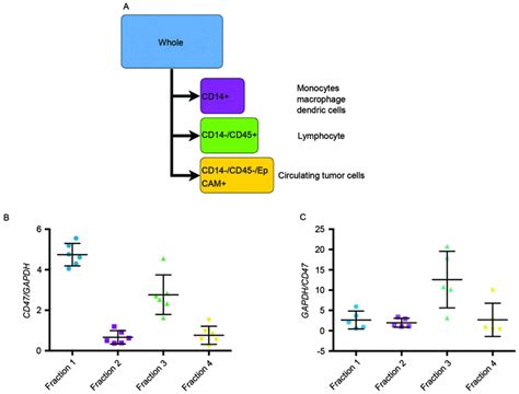 Significance Of Cd47 Expression In Gastric Cancer