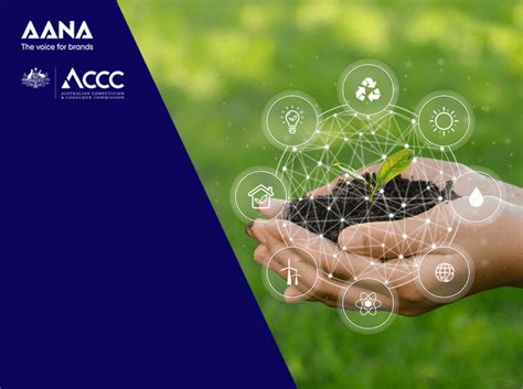 Accc Greenwashing Sweep What Brands Can Do Now