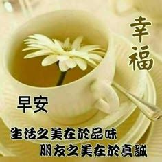 Chinese Good Morning Ideas Good Morning Morning Greeting Good