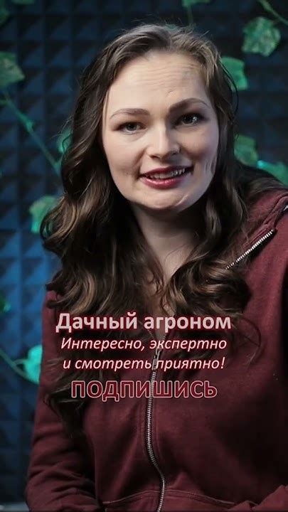 ОТ БЕЛОКРЫЛКИ и сажистого грибка БАКОВАЯ СМЕСЬ - YouTube