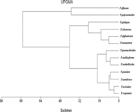 Cluster Analysis Of Different Species Of Polygonum L Based On Foliar Download Scientific