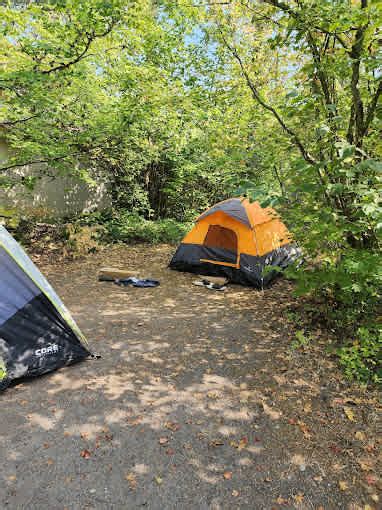 Swift Forest Camp Pacificorp Hipcamp In Cougar Washington