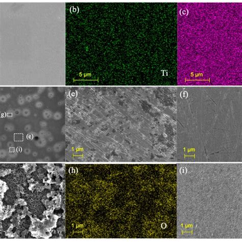 Ad Morphology Bc Element Distributions Of The Mxene Coatings