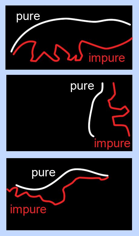 Babe Lab Pinup Research Development Pure Vs Impure