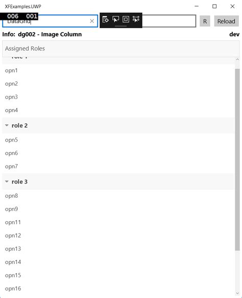 Datagrid Scrolling Over The Header Title In Xamarin Forms Datagrid