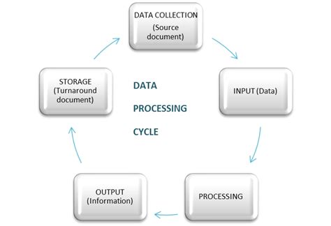 🌷 Data Processing Cycle Diagram The Data Processing Cycle And Processing Methods Free Essay