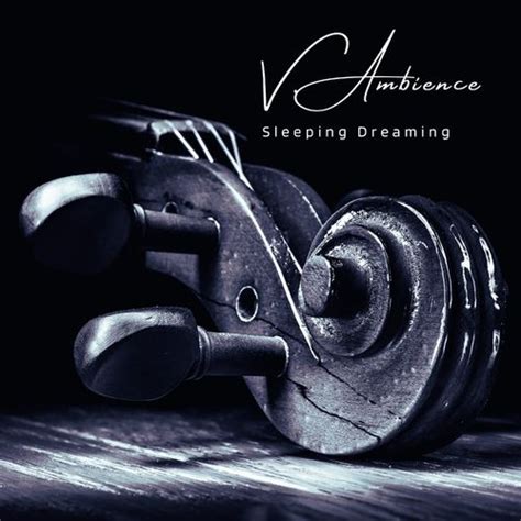 موسیقی بی کلام ویولن غمگین غم انگیز سانگ سرا