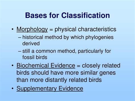 Ppt Avian Systematics Powerpoint Presentation Free Download Id6182838