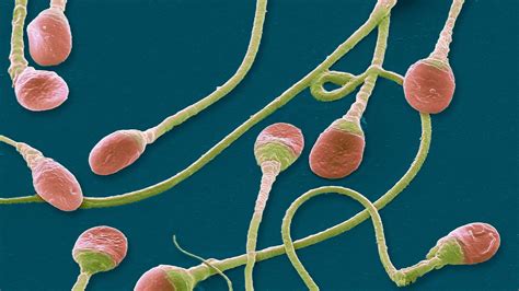 Unexpected Side Effects Of Oral Contraceptives What To Watch For