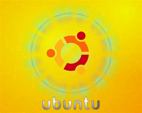 Kernel Vulnerabilities In Ubuntu 6 06 8 04 8 10 And 9 04 Softpedia