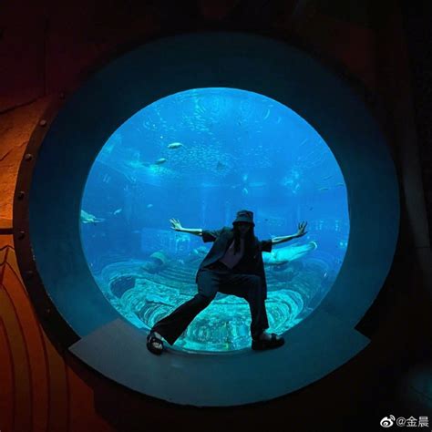 金晨全黑look低调逛海洋馆 水箱前凹造型和“海鲜们”合照新浪图片
