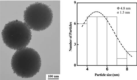 tem micrograph and size distribution histogram of gold nanoparticles