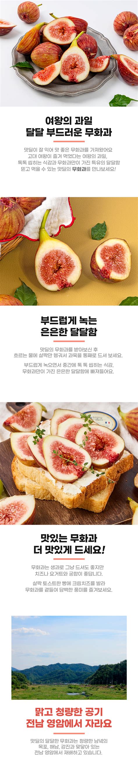 산지직송 전남 영암 달달한 무화과 1kg500gx2
