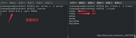 Linux系统编程 Socket套接字之回射服务器 （详细解释）linux中回射套接字 Csdn博客