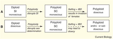 Contact Zones Natural Labs For Studying Evolutionary Transitions Current Biology