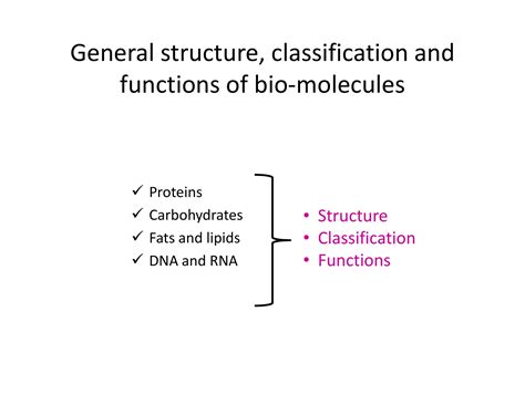 Proteins And Amino Acid Classification Structure Functions Physicochemical Properties