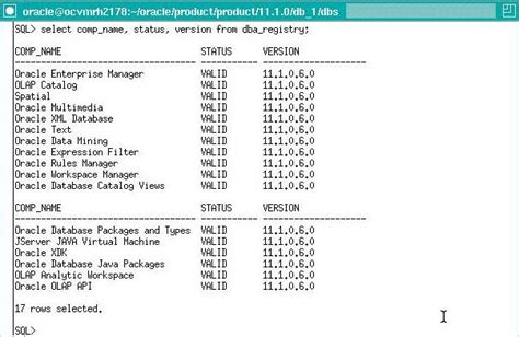 Oracle Applications Dba Upgradation Of Oracle Database From 10g To 11g