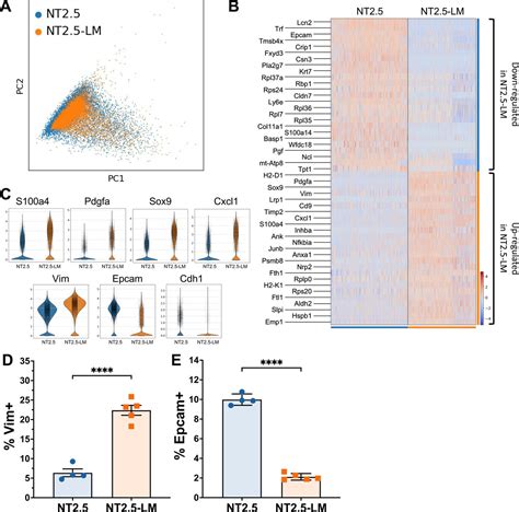 Anti Epcam Cell Signaling Technology Inc Bioz