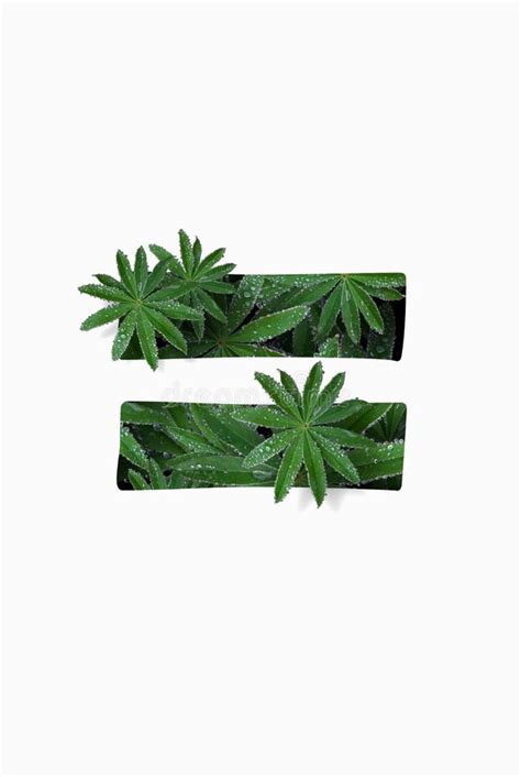 The Symbol Of Mathematical Equality Is Isolated On A White Background