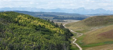 Essay On The Grasslands Cpaws Southern Alberta