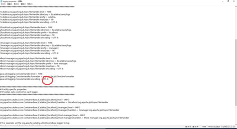 tomcat的安装和解决乱码问题 localhost访问乱码 csdn博客