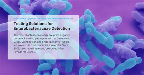 Testing Solutions For Enterobacteriaceae Detection Hygiena